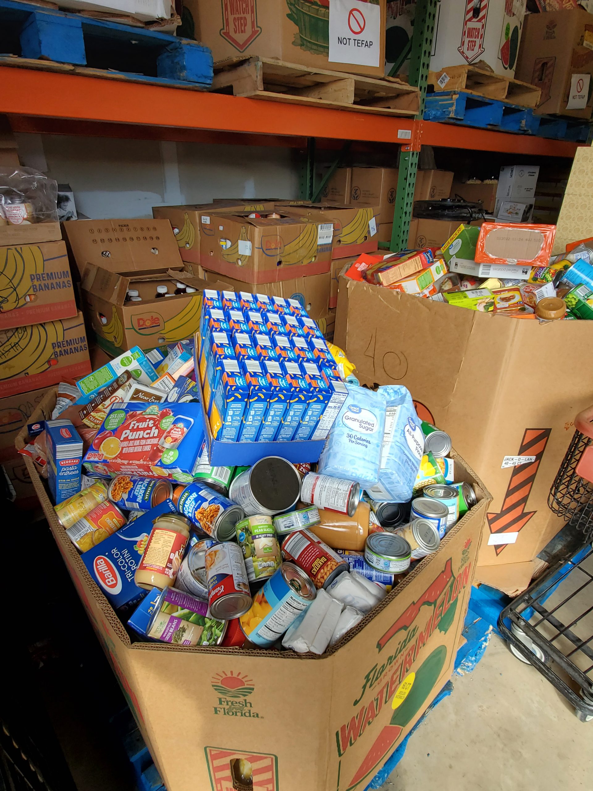 Boy Scouts collect 5,741 pounds of food for hungry neighbors - Common Heart