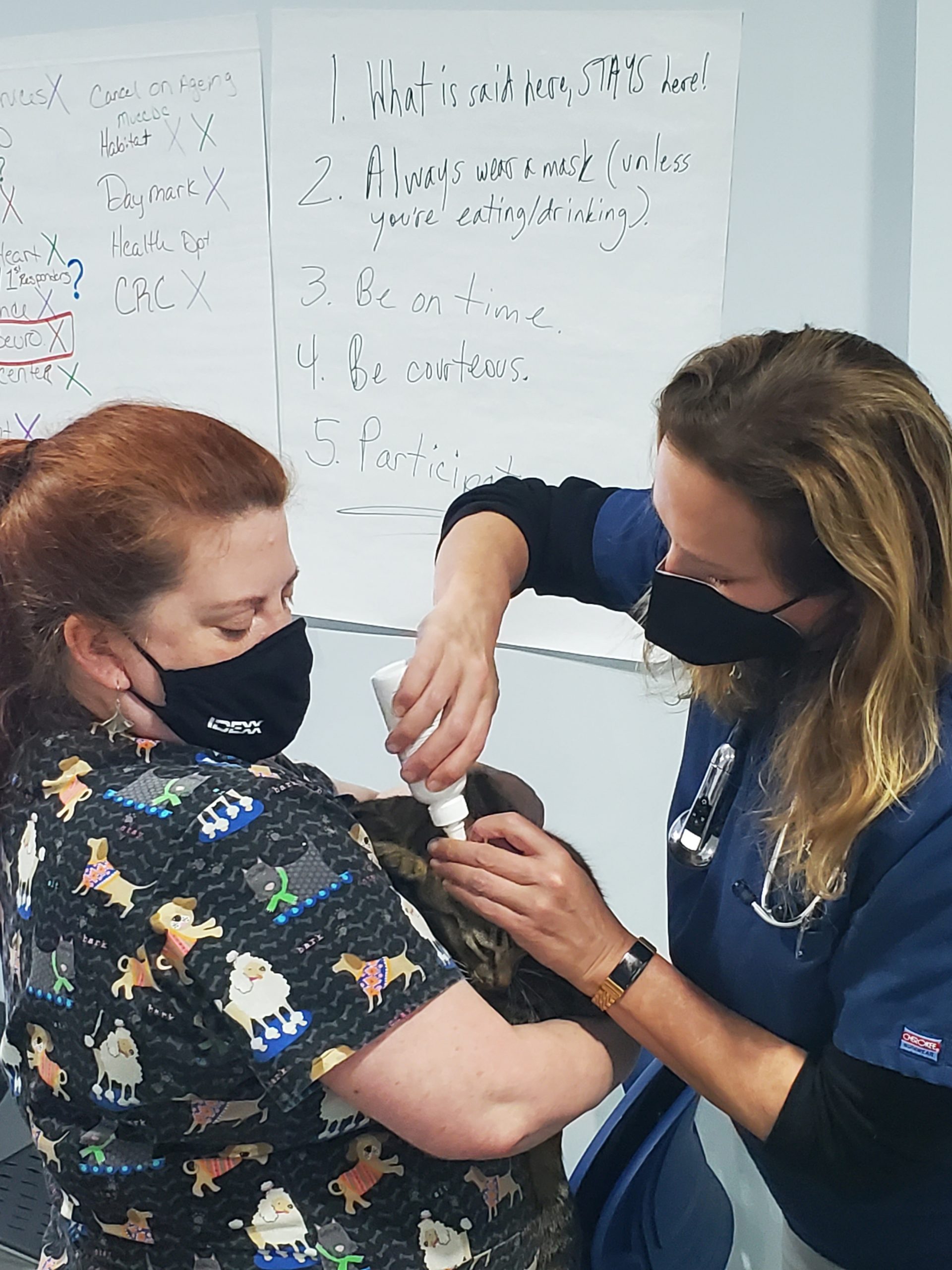 Free vet clinic provides relief - Common Heart